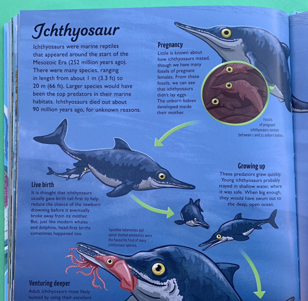 DK’s Water Cycles Book | ofamily learning together