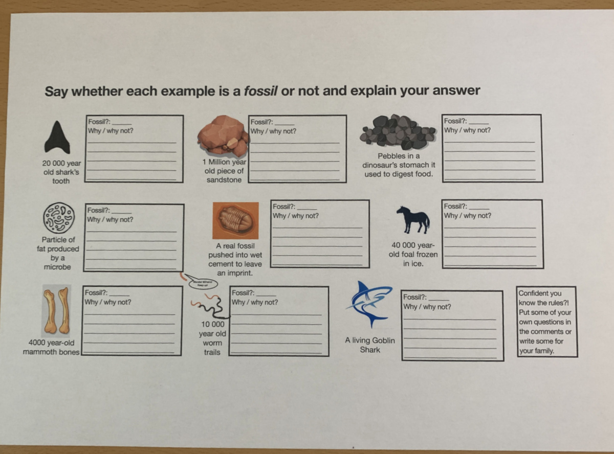 Starting Year 7 Science Resources | ofamily learning together