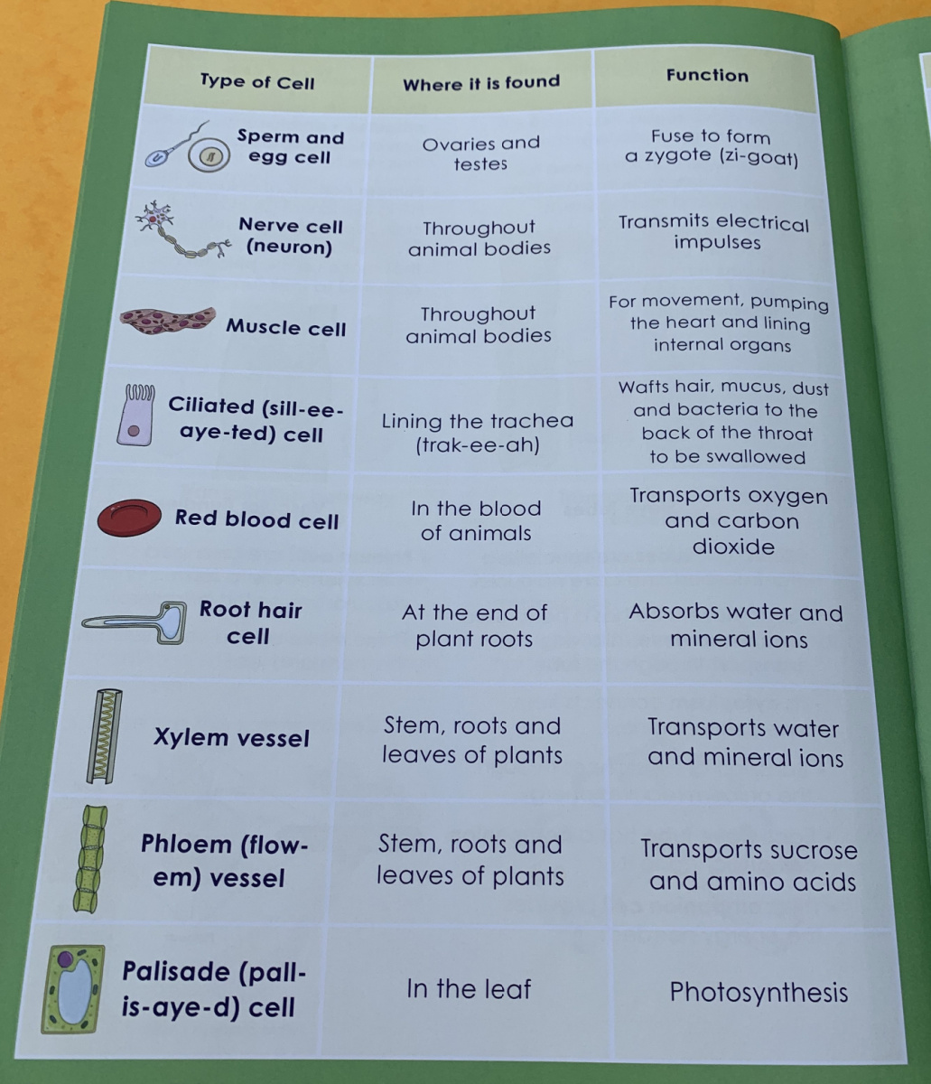 GCSE Biology Packs from Oaka Books | ofamily learning together