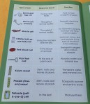 GCSE Biology Packs from Oaka Books | ofamily learning together