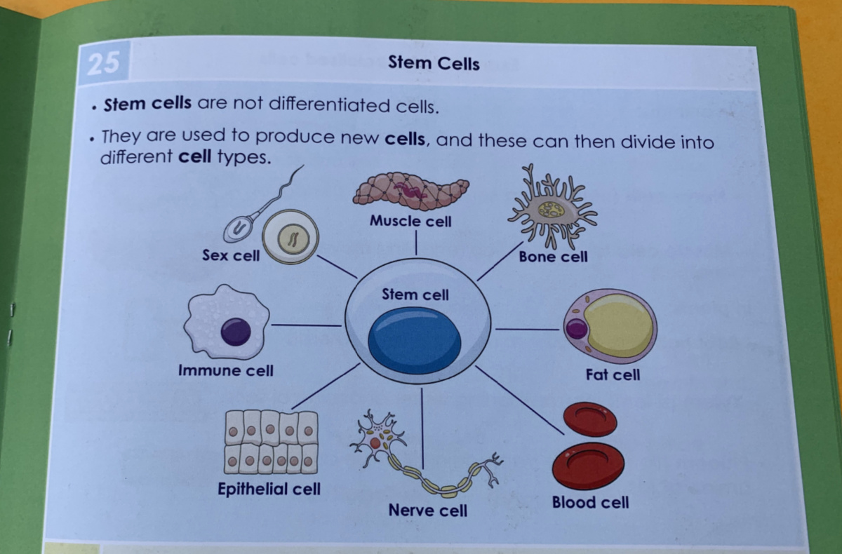 GCSE Biology Packs from Oaka Books | ofamily learning together