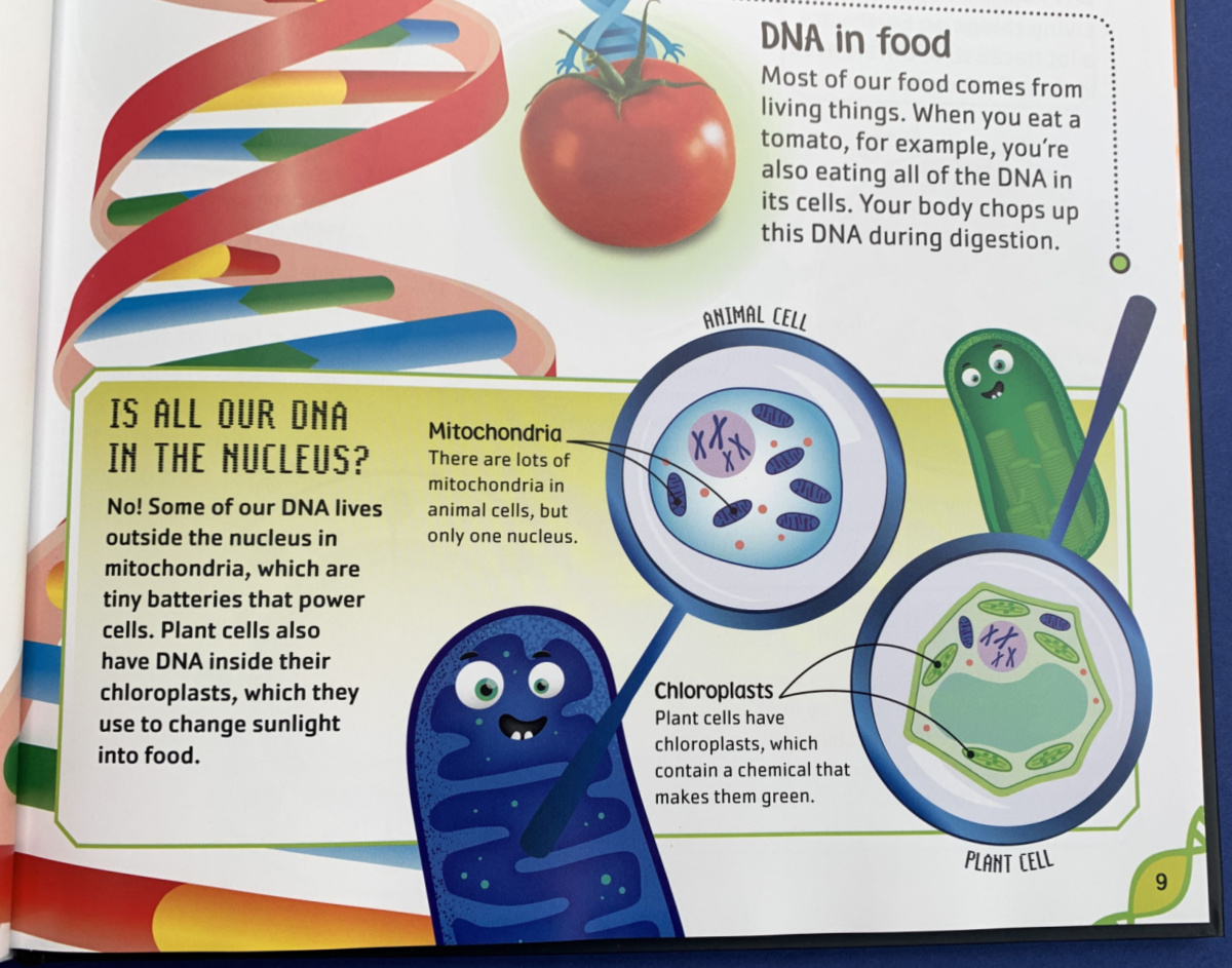 The DNA Book by DK | ofamily learning together