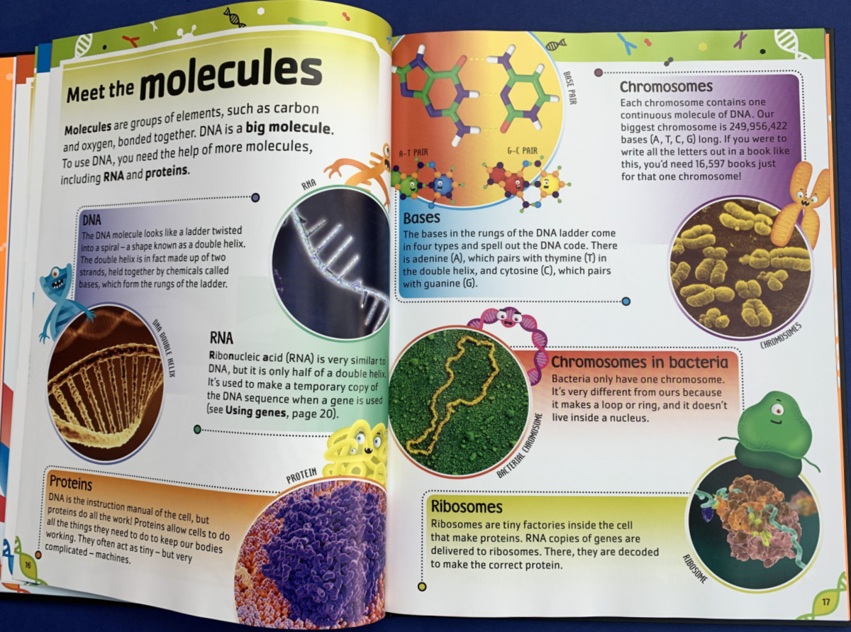 The DNA Book by DK | ofamily learning together