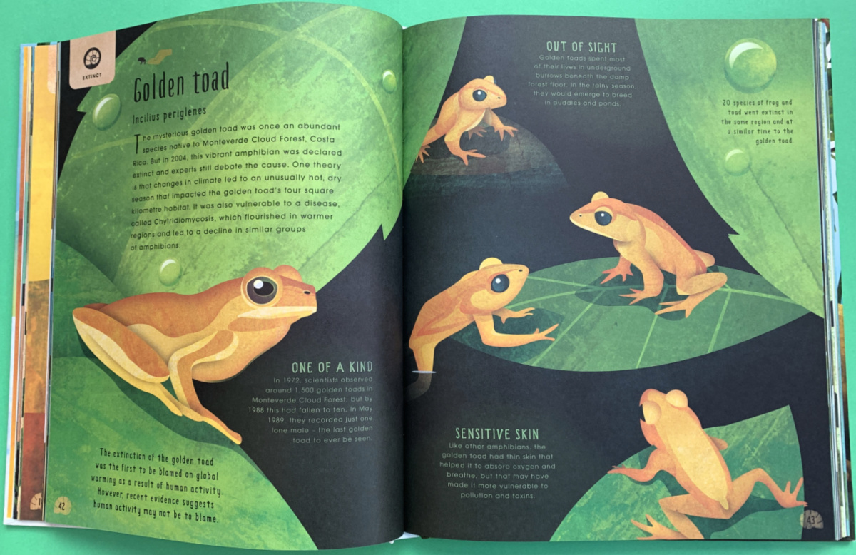 Animals Lost and Found | ofamily learning together